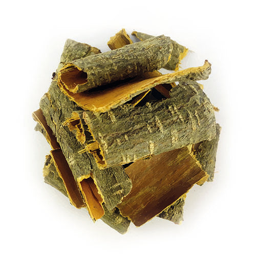 Gunpowder Tree Bark – Herbişi